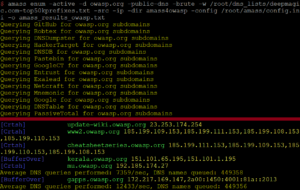 How to Use OWASP Amass: An Extensive Tutorial