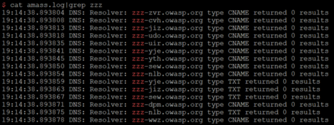 How to Use OWASP Amass: An Extensive Tutorial